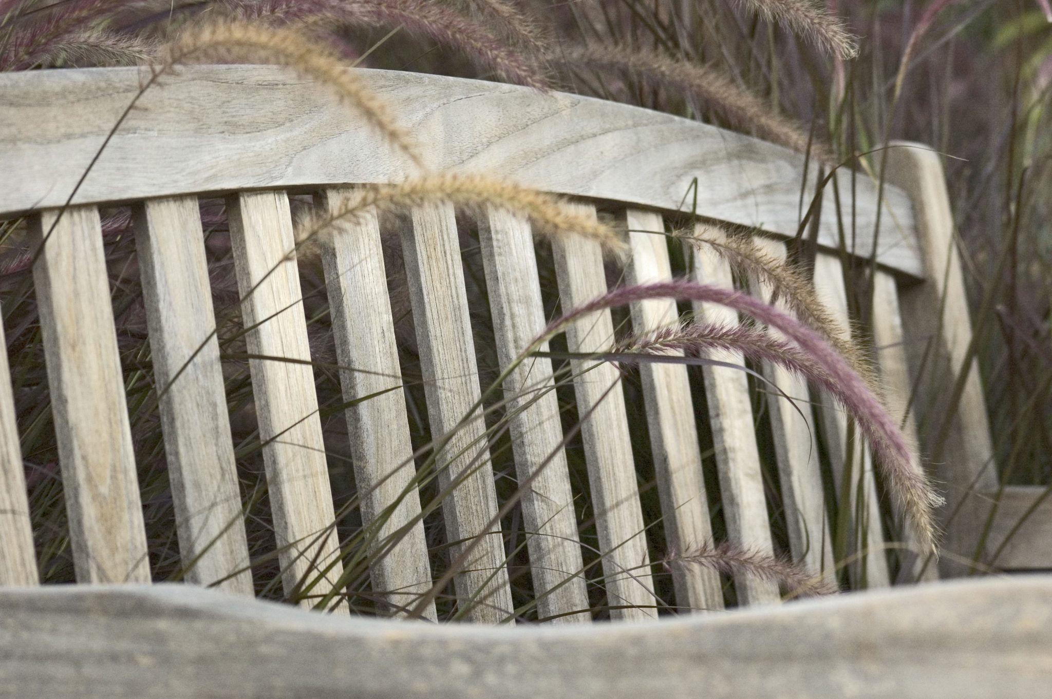 Jeff Bloom's Explorations, Musings, & more – Glimpses of complexity in ...