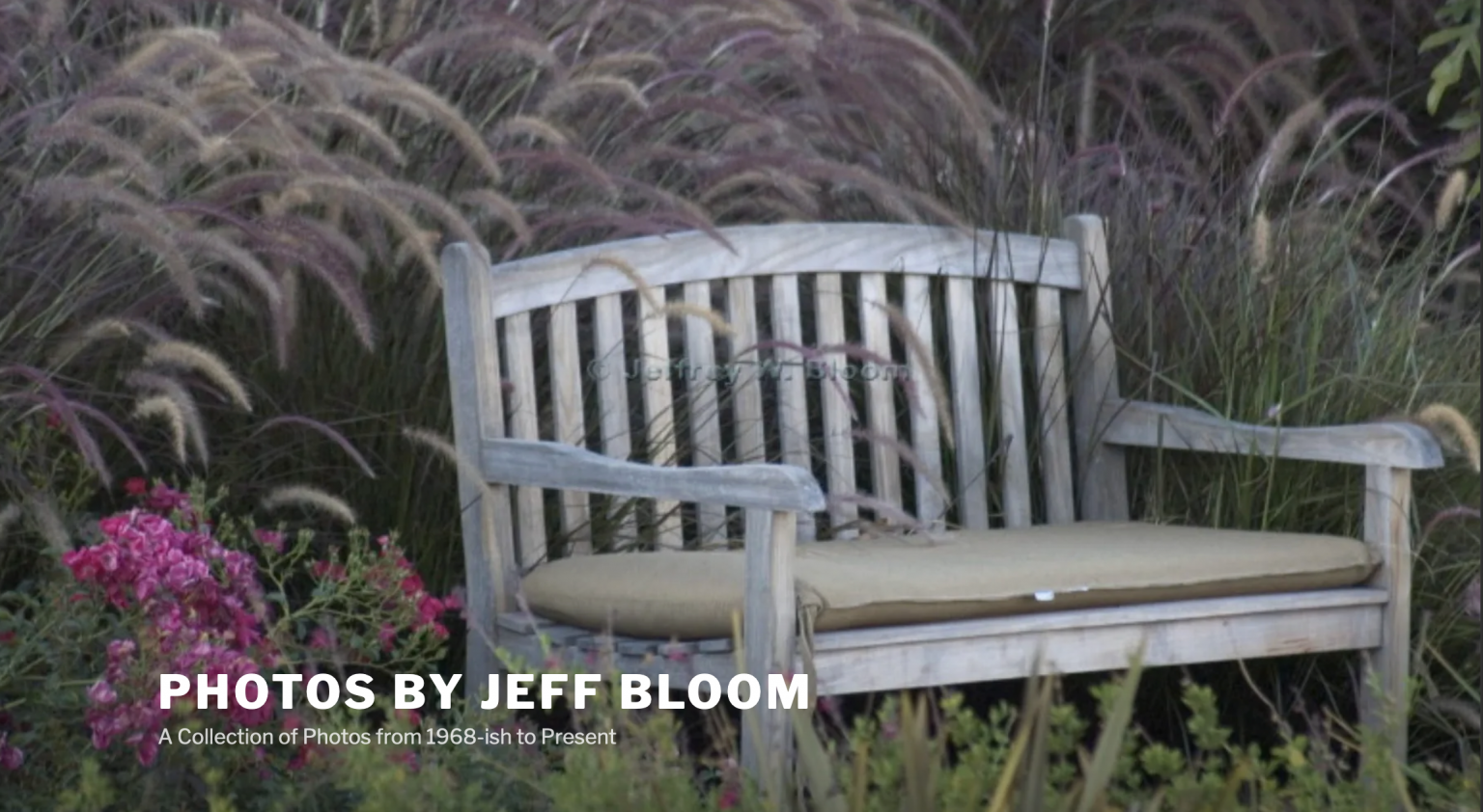 Jeff Bloom's Home Site – Explorations of Science, Learning, Teaching ...