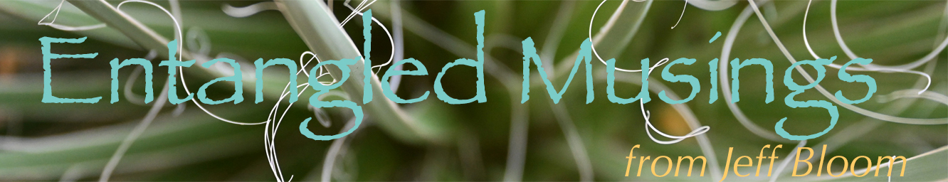 Jeff Bloom's Home Site – Explorations of Science, Learning, Teaching ...